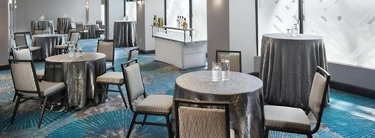 HOTEL CRYSTAL GATEWAY MARRIOTT, ARLINGTON